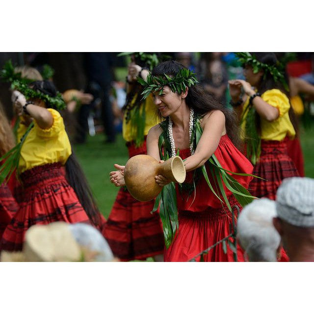 Ipu Hula Instrument (Various — Leilanis Attic