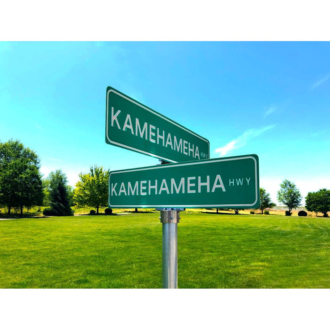 "KAMEHAMEHA Hwy" Street Sign — Leilanis Attic