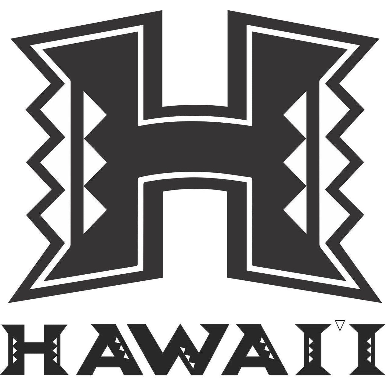 Hawaii Flasks — Leilanis Attic